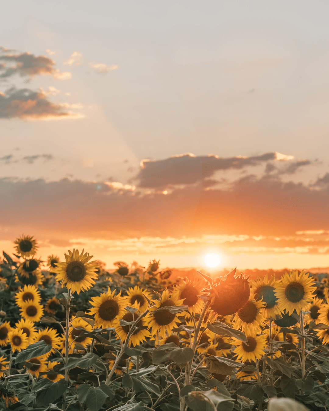 What To Do Today If You Had No Sleep Last Night - Sleep Nurse UK